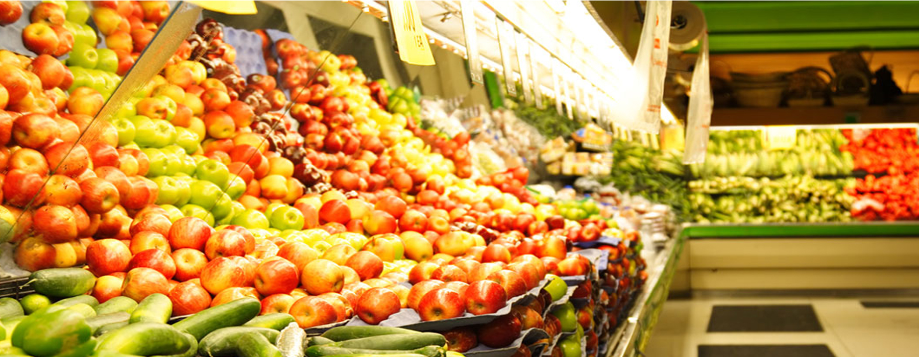 Euro Certification | Largest ISO certification body in the world